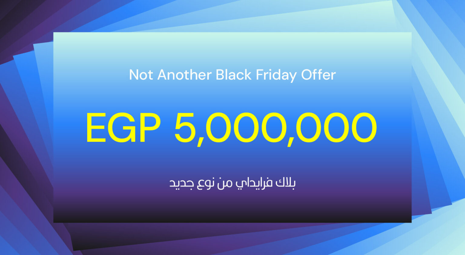 Thndr Black Friday’25: Your Slice of EGP 5 Million Awaits!